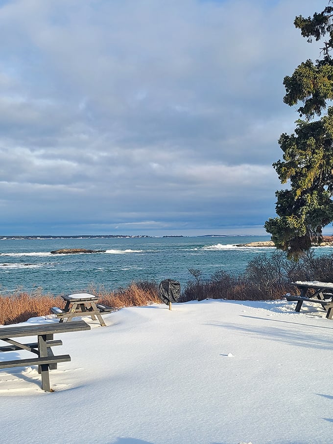 Winter wonderland meets beach paradise. It's like someone spilled a giant vanilla milkshake over summer memories. Deliciously surreal!