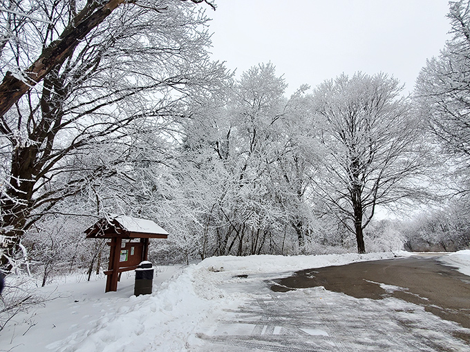 Winter wonderland or Narnia? You decide. This snowy scene is so magical, you half expect a talking lion to invite you for tea.