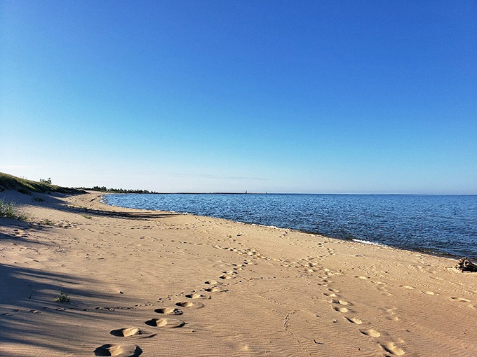 Follow the footsteps to fun: each print in the sand is a story waiting to be told.