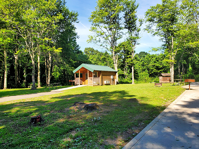 Cabin fever? More like cabin fervor! These cozy retreats offer a perfect blend of rustic charm and modern comfort. S'mores, anyone?