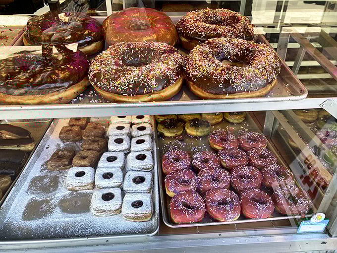 A feast for the eyes and the stomach! Bob's donut diversity is like a United Nations assembly of fried dough diplomacy.