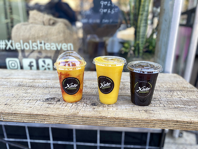 Liquid happiness in three flavors! These drinks aren't just refreshing&mdash;they're a vacation in a cup. Sip, savor, and smile!