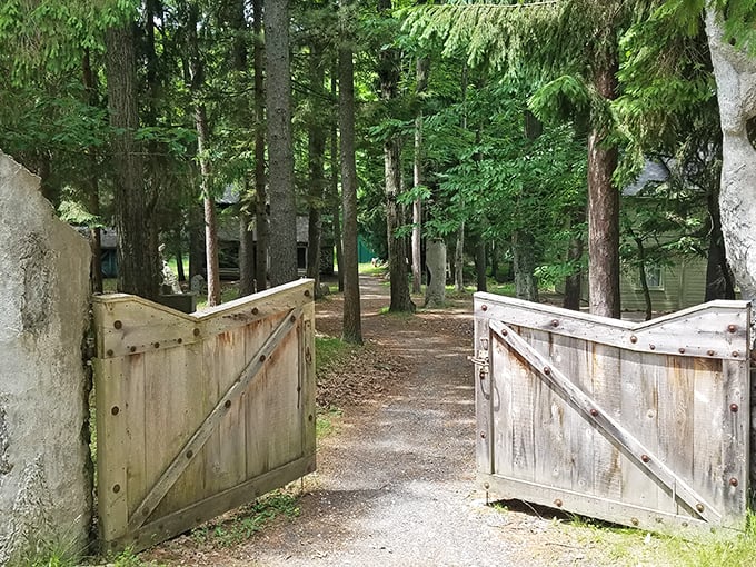 Step right up, folks! This entrance promises a world of wonder, weirdness, and possibly the occasional confused woodland creature.