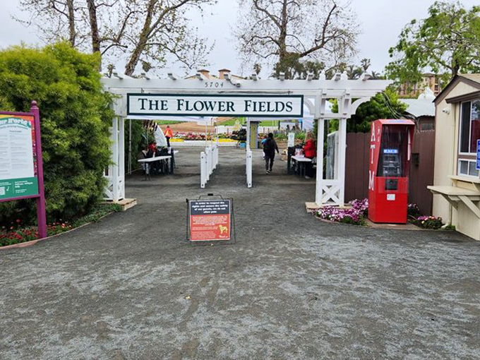 Step right up to floral heaven! This charming entrance is like the wardrobe to Narnia, but instead of snow, you'll find endless fields of flowers.