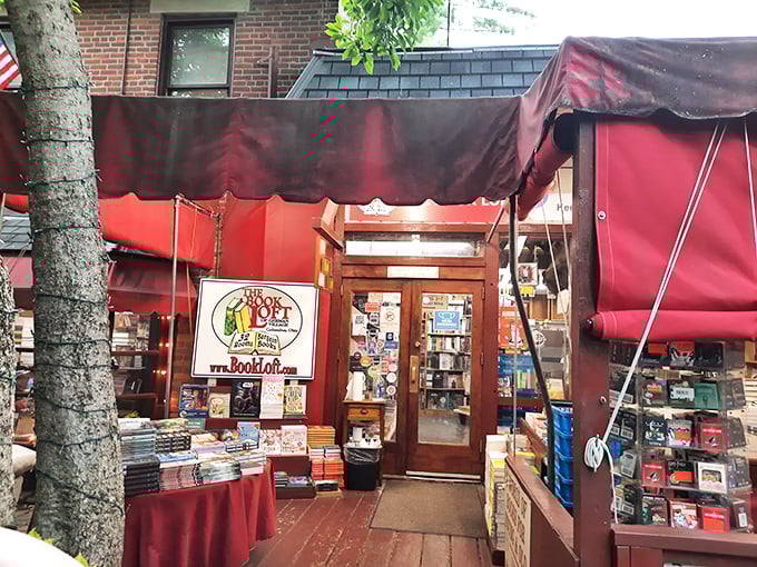 Portal to another world? This inviting entrance beckons book lovers into a realm of endless stories and boundless imagination.