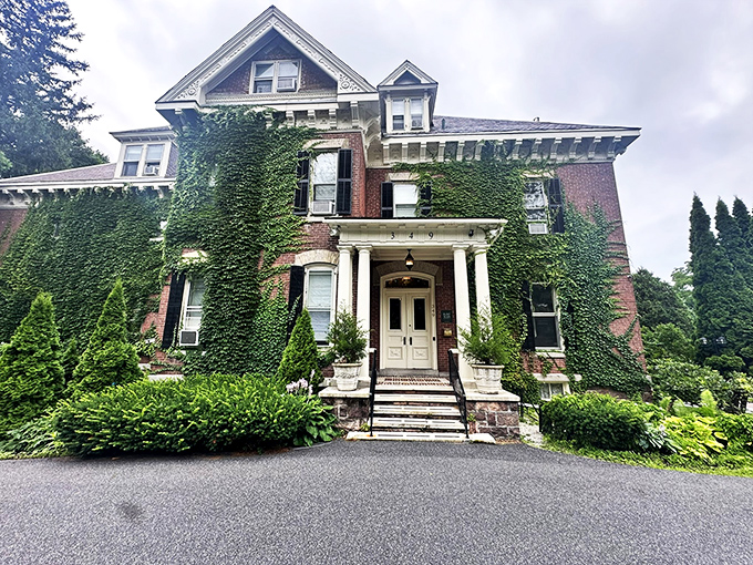 Ivy-covered and inviting, this facade is the architectural equivalent of a warm hug. It's saying, "Come in, we've got comfort food and cozy vibes!"