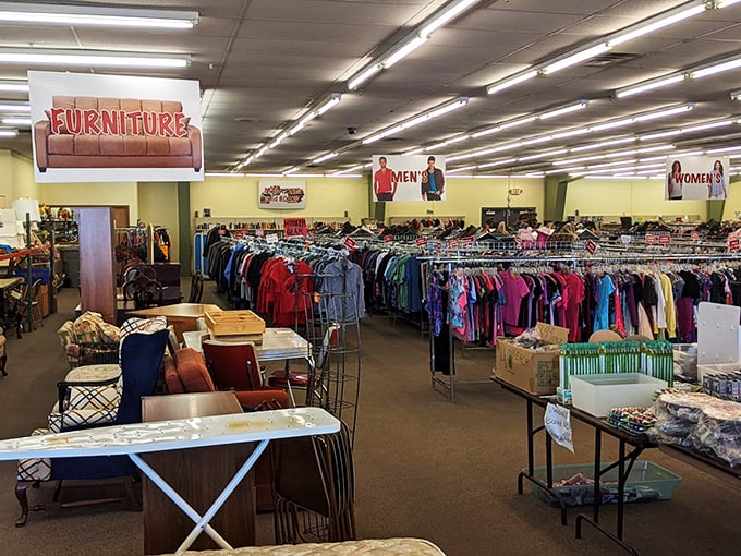 The thrift store jungle in all its glory! From furniture to fashion, it's a secondhand safari where the only thing more colorful than the merchandise is the clientele.