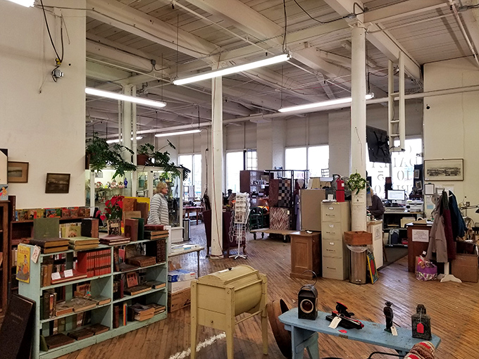 Where every turn reveals a new surprise. It's like playing "I Spy" with decades of American pop culture.