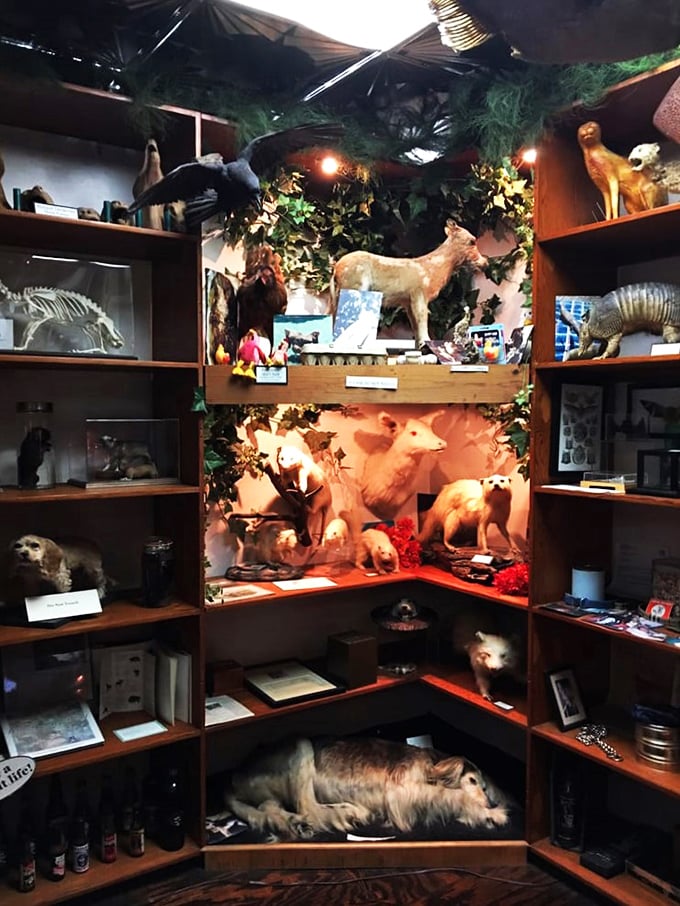 Step into nature's darker side. This corner is where "Bambi" meets "The Silence of the Lambs." Cuddly and creepy, all in one!