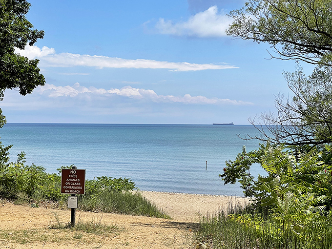 Lake Huron's siren song in visual form. This view is so captivating, it should come with a warning: "May cause spontaneous sighs of contentment and urges to cancel all future plans."