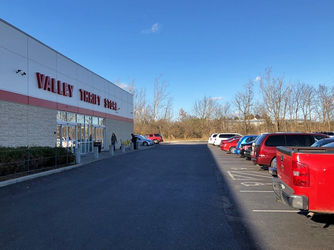 Parking lot or launching pad? Either way, your thrifting adventure begins here. May the bargains be ever in your favor!