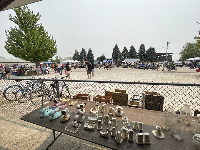 The great outdoors meets the great deals! Fresh air, sunshine, and the sweet smell of bargains. It's like a picnic, but with more antiques.