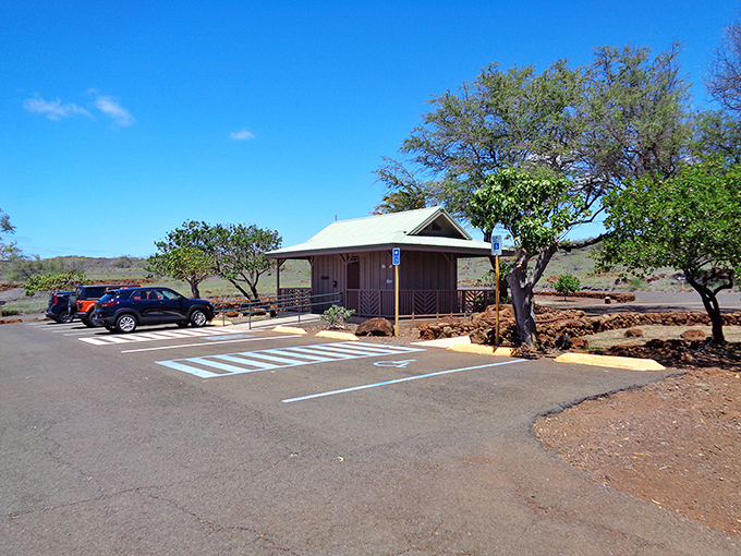Parking paradise: Where else can you leave your car surrounded by more natural beauty than a supermodel's Instagram feed?