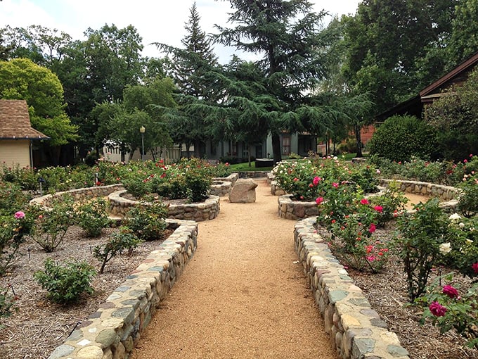 Who needs a time machine when you've got a garden like this? These blooms have been stopping visitors in their tracks since before Instagram was even a twinkle in Silicon Valley's eye.