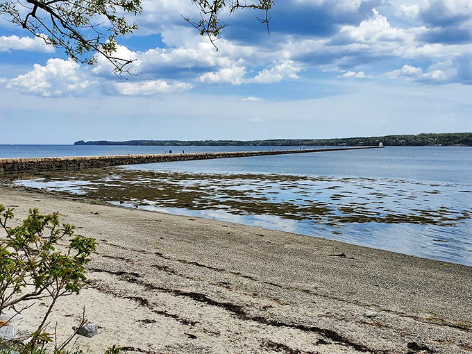 Who needs a red carpet when you've got this rocky runway? Nature's own VIP entrance to the Atlantic.