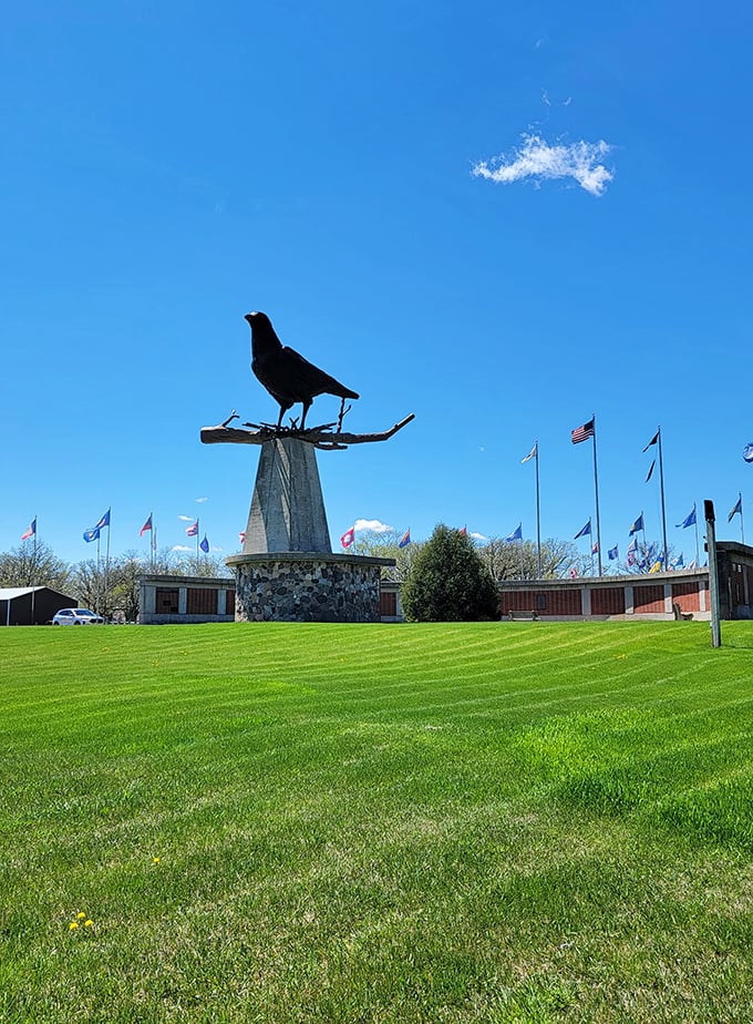 Against a cloudless sky, our crow stands tall. It's not just a statue, it's a monument to thinking big &ndash; bird big!