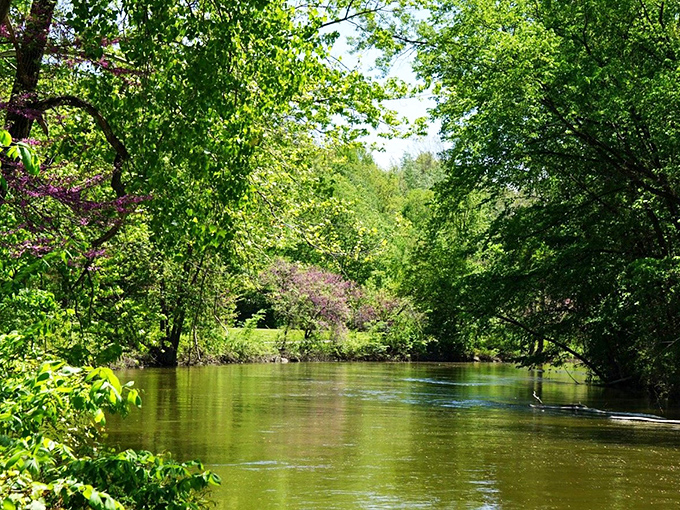 Serenity now! This tranquil scene is like a real-life screensaver &ndash; perfect for rebooting your mind after a long week of human.exe errors.