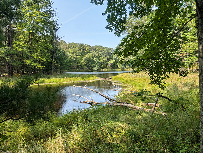 Nature's own infinity pool: This kettle lake reflects the sky like a mirror, making you wonder if you've stumbled into a Bob Ross painting come to life.
