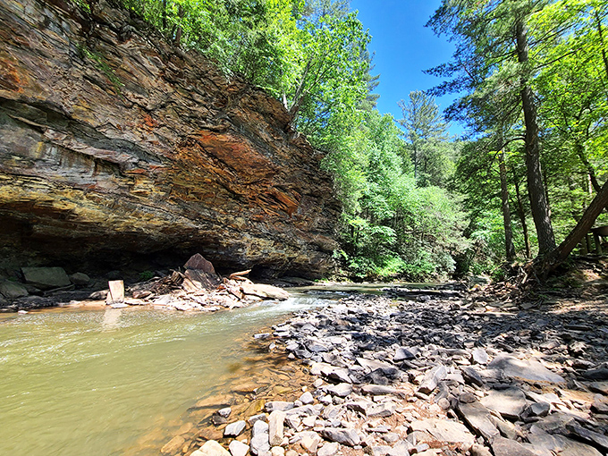 Trough Creek's rocky shores: Where every stone tells a story, and the water whispers secrets of the ages.