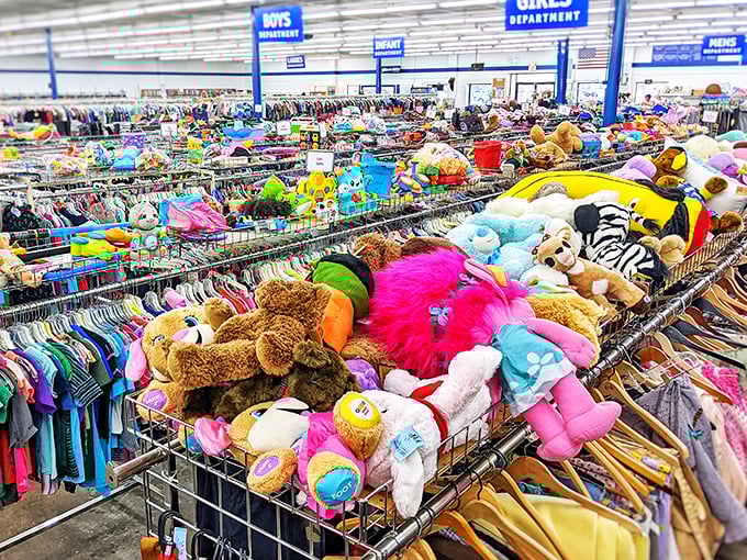 Stuffed animal adoption center or the island of misfit toys? Either way, these plush pals are ready for their forever homes and new adventures.