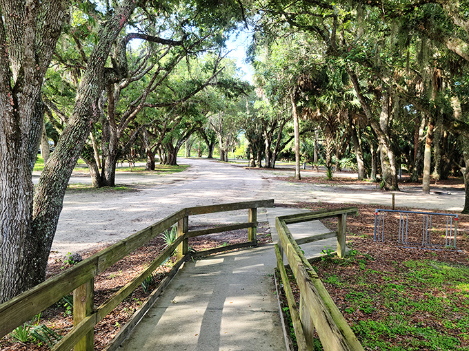 Nature's cathedral: These moss-draped oaks create an aisle more awe-inspiring than any man-made structure. Wedding planners, take note!