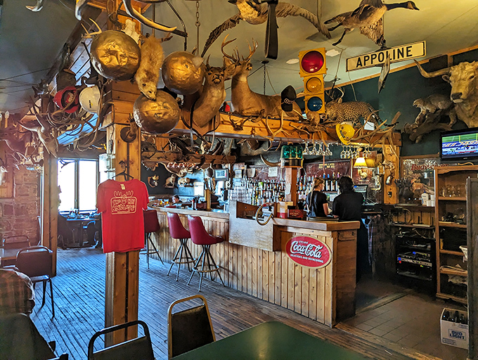 Part restaurant, part natural history museum, all fun! This dining room proves that sometimes, the best conversations happen under the watchful gaze of a moose.