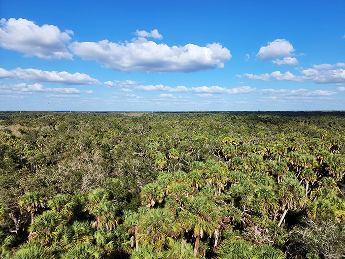 Florida's version of the Sistine Chapel ceiling &ndash; a masterpiece of blue skies, fluffy clouds, and endless possibilities.