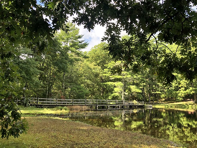 A view that's better than any all-you-can-eat buffet. Feast your eyes on nature's endless spread of green goodness.