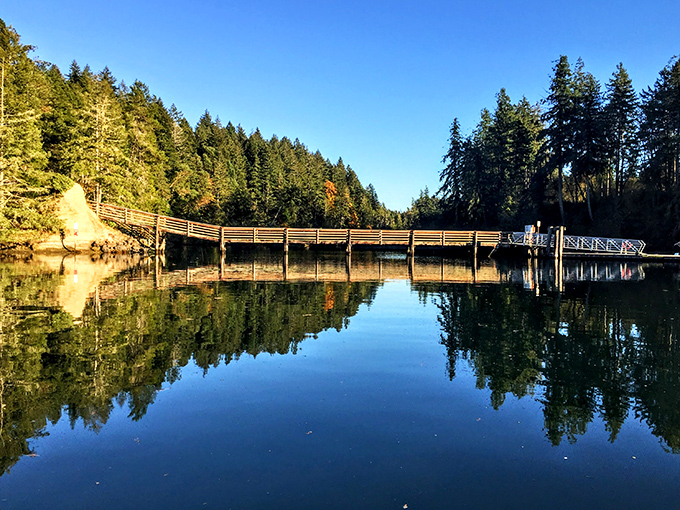 A view that'll make you forget your phone exists. Sorry, social media, real life just got way more interesting.