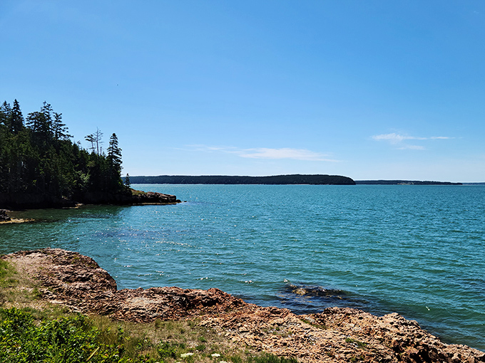 Blue horizon therapy. Where sea meets sky in a seamless blend of azure hues. It's the kind of view that makes you want to trade your office chair for a beach towel.