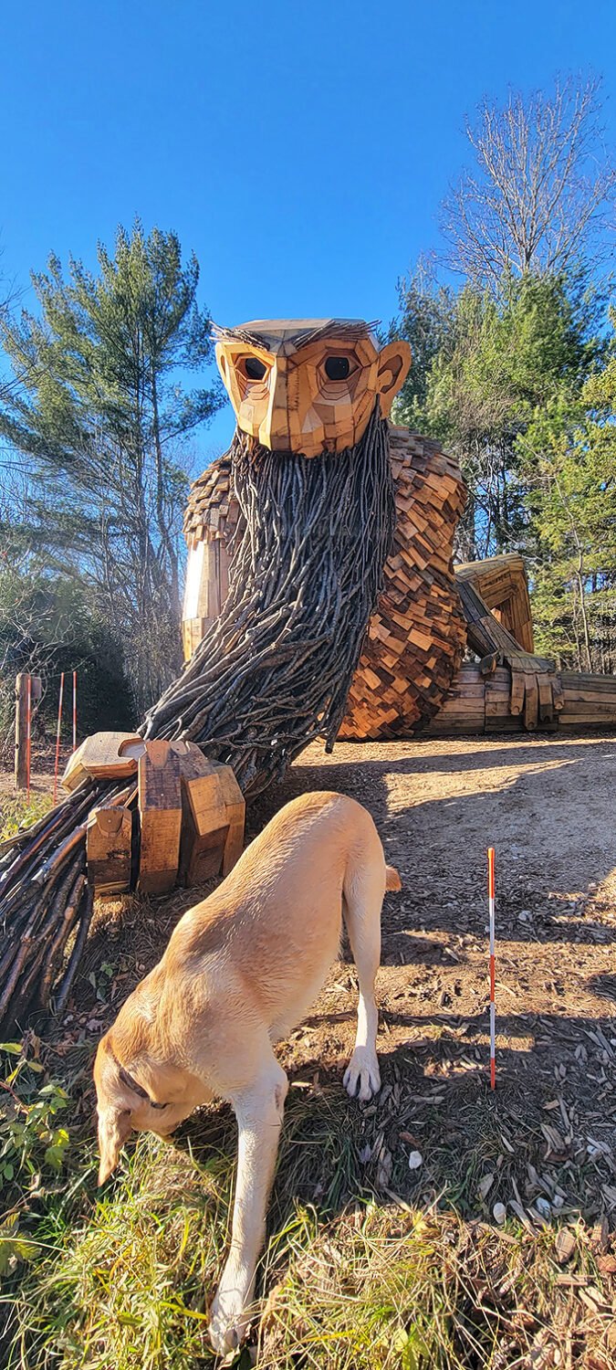 Who let the dogs out? Even our four-legged friends can't resist Benny's charm. This pup's giving the troll a run for his money in the "adorable" department!