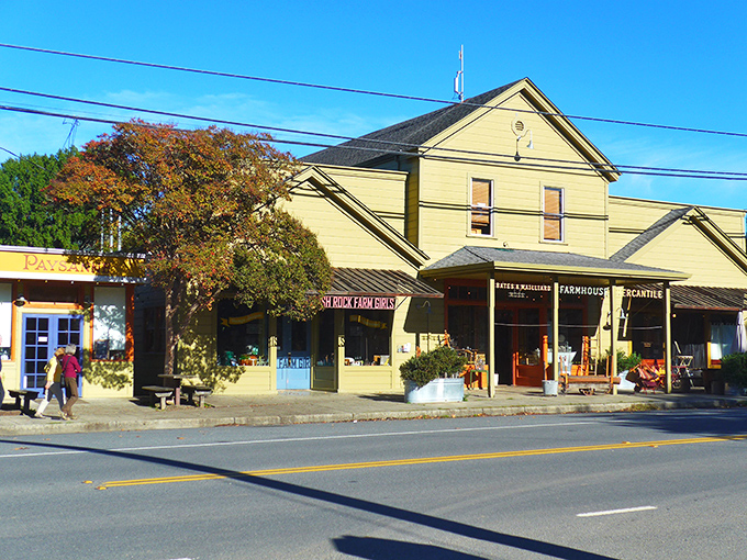 Boonville's main street: Small town, big personality. Just don't try to understand Boontling after a few glasses of local wine.