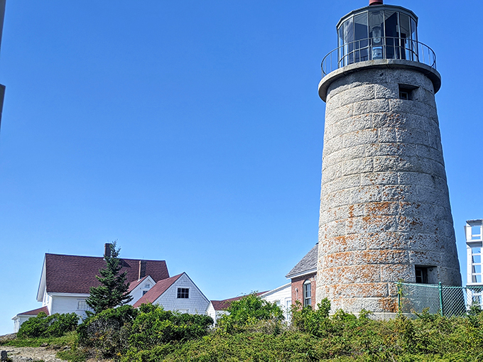 Where lighthouse meets art gallery. This museum captures the essence of Maine's coastal beauty.