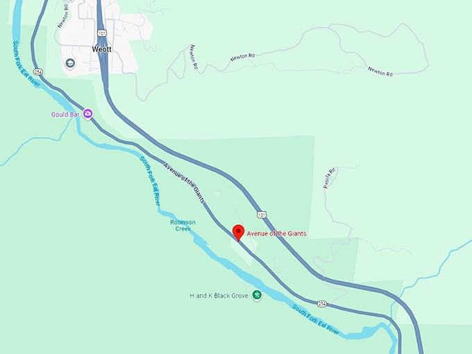 16 avenue of the giants map