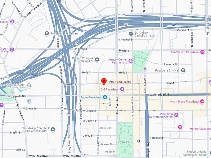 16 coffee and plants map
