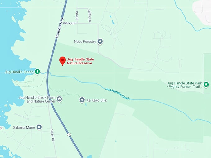 16 jug handle state natural reserve map