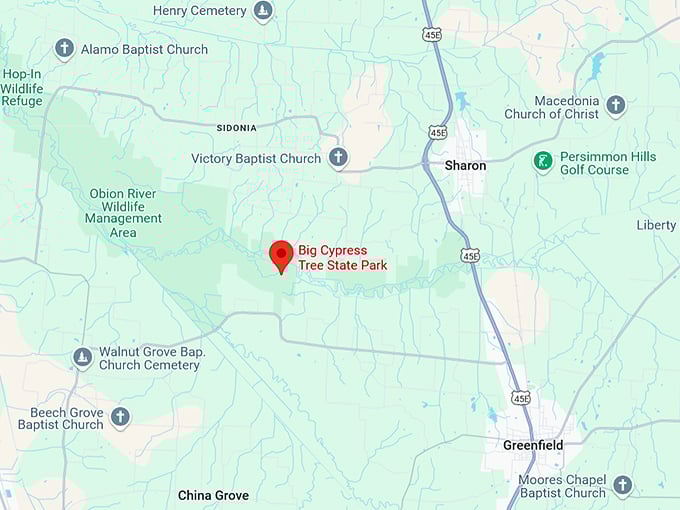 16. big cypress tree state park map
