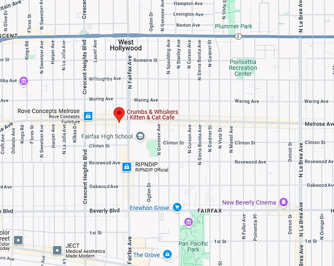 16. crumbs & whiskers kitten & cat cafe map