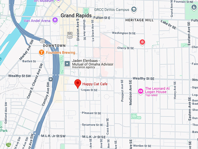 16. happy cat cafe map