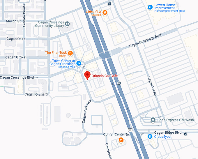 16. orlando cat cafe map