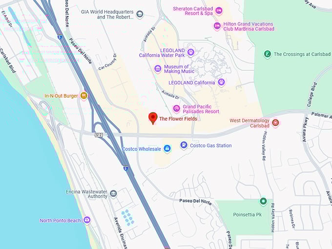 16. the flower fields map