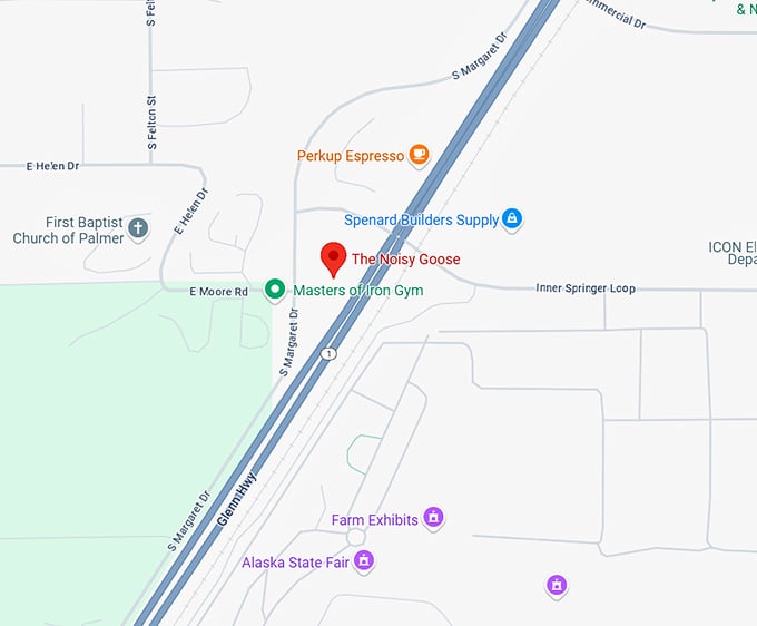 16. the noisy goose map