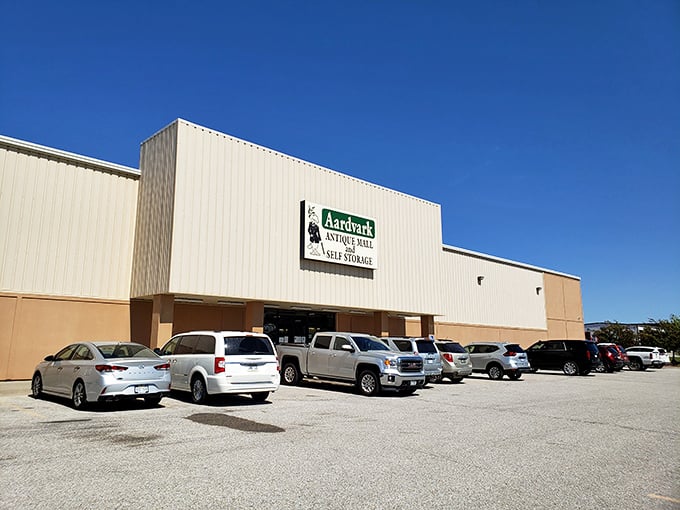 Aardvark's treasure trove awaits! This unassuming building houses more nostalgia than your grandma's attic and twice the charm.