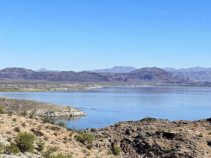 Alamo Lake: Where RVs meet wilderness. This hidden oasis is like finding a five-star resort in the middle of a John Wayne movie set.