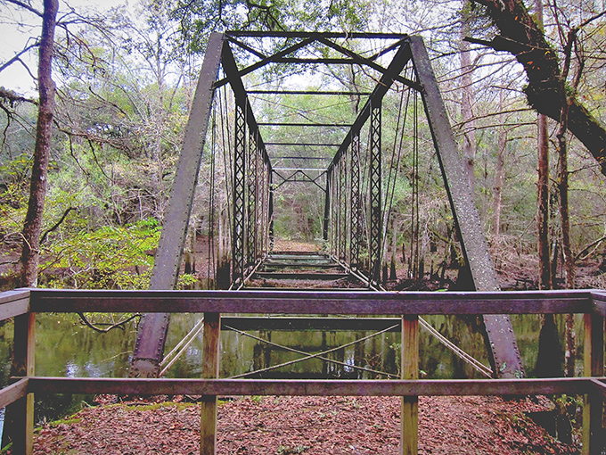 Rusty romance in the air! This old bridge looks like it's auditioning for a Tim Burton movie set in the Everglades.