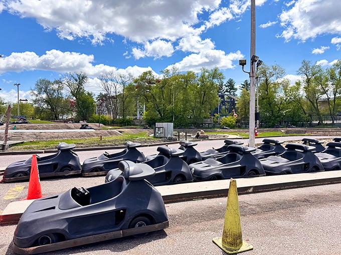 Zoom zoom! These pint-sized speedsters are like the Flintstones meet Fast and Furious. Buckle up for a wild ride!