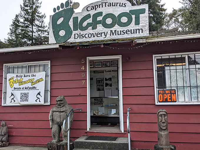 Bigfoot's vacation home? This quirky museum in Felton is a sasquatch enthusiast's dream, complete with life-sized statues and mysterious footprints.