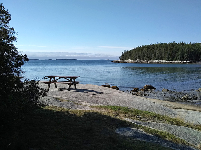 Picnic paradise or nature's dining room? This spot at Birch Point has front-row seats to the Atlantic's daily show.