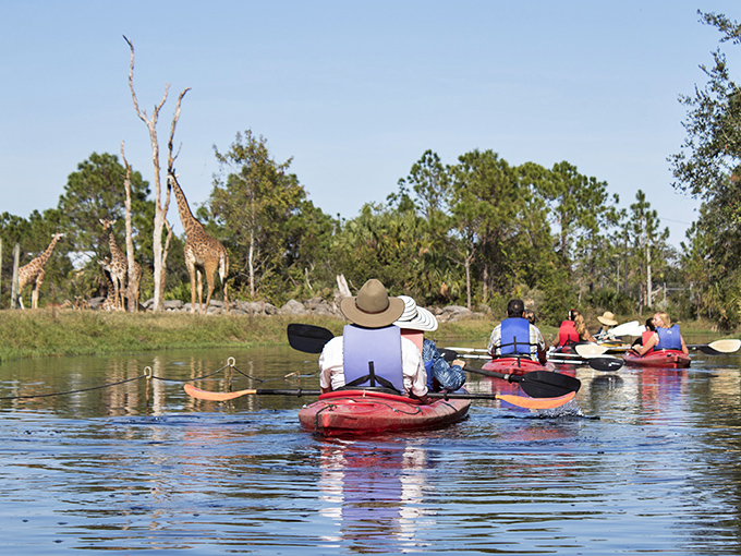 Who knew kayaking could be a giraffe-ic experience? At Brevard Zoo, you're just a paddle away from Africa!