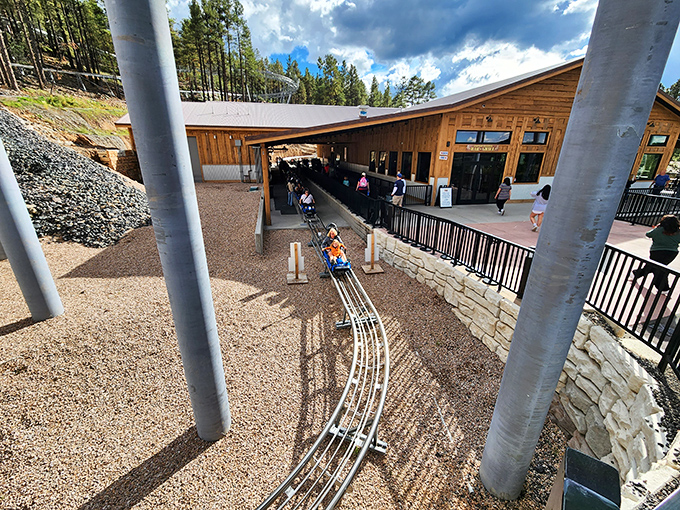 Hang on tight! This aerial adventure makes you feel like Tarzan, minus the loincloth. Who knew trees could be such thrilling playgrounds?